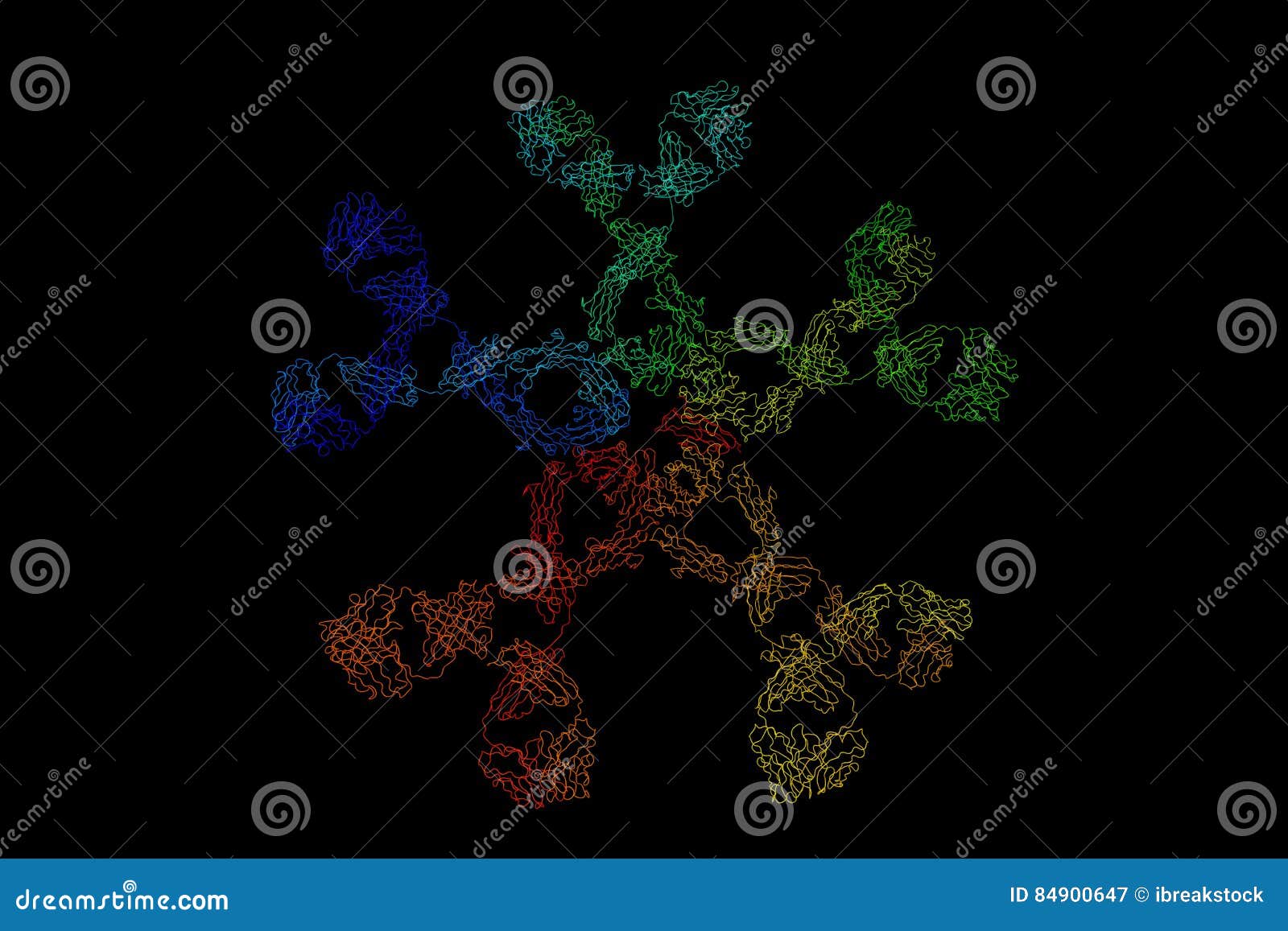 Immunoglobulin M, a Basic Antibody that is Produced by B Cells. Stock ...