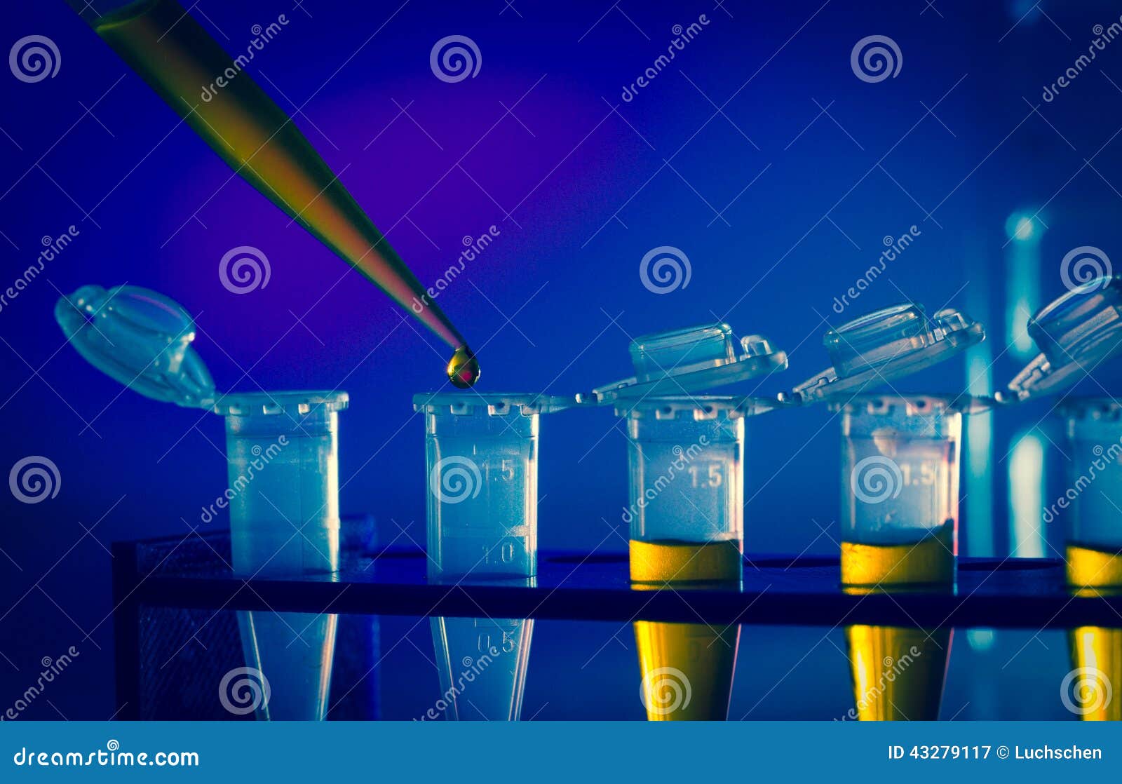 Immunological research stock image. Image of immunology - 43279117