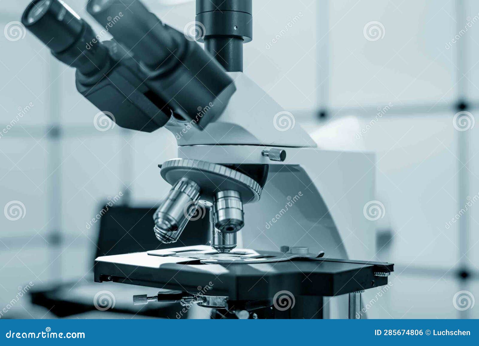 Immunology: Optical Microscopes Help Immunologists Visualize Immune Ce ...