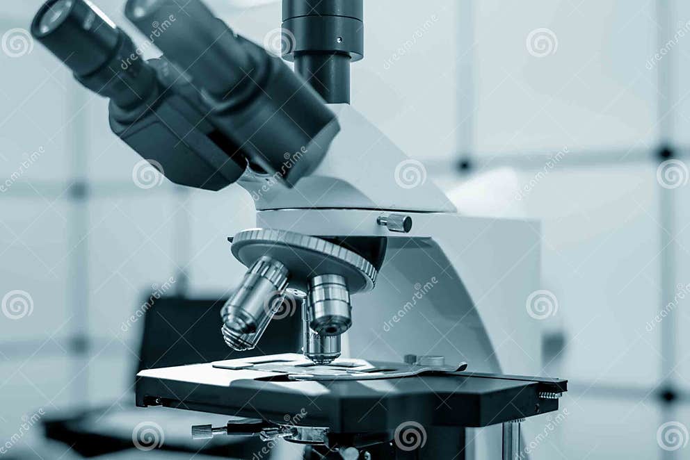 Immunology: Optical Microscopes Help Immunologists Visualize Immune Ce ...