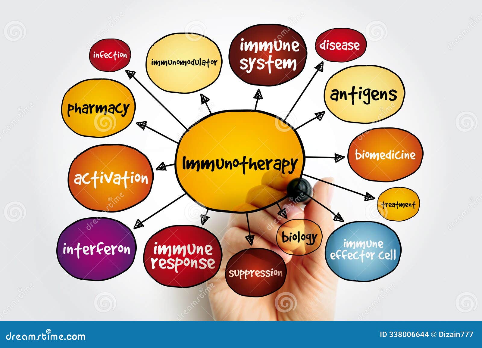 Immunotherapy Mind Map, Concept for Presentations and Reports Stock ...