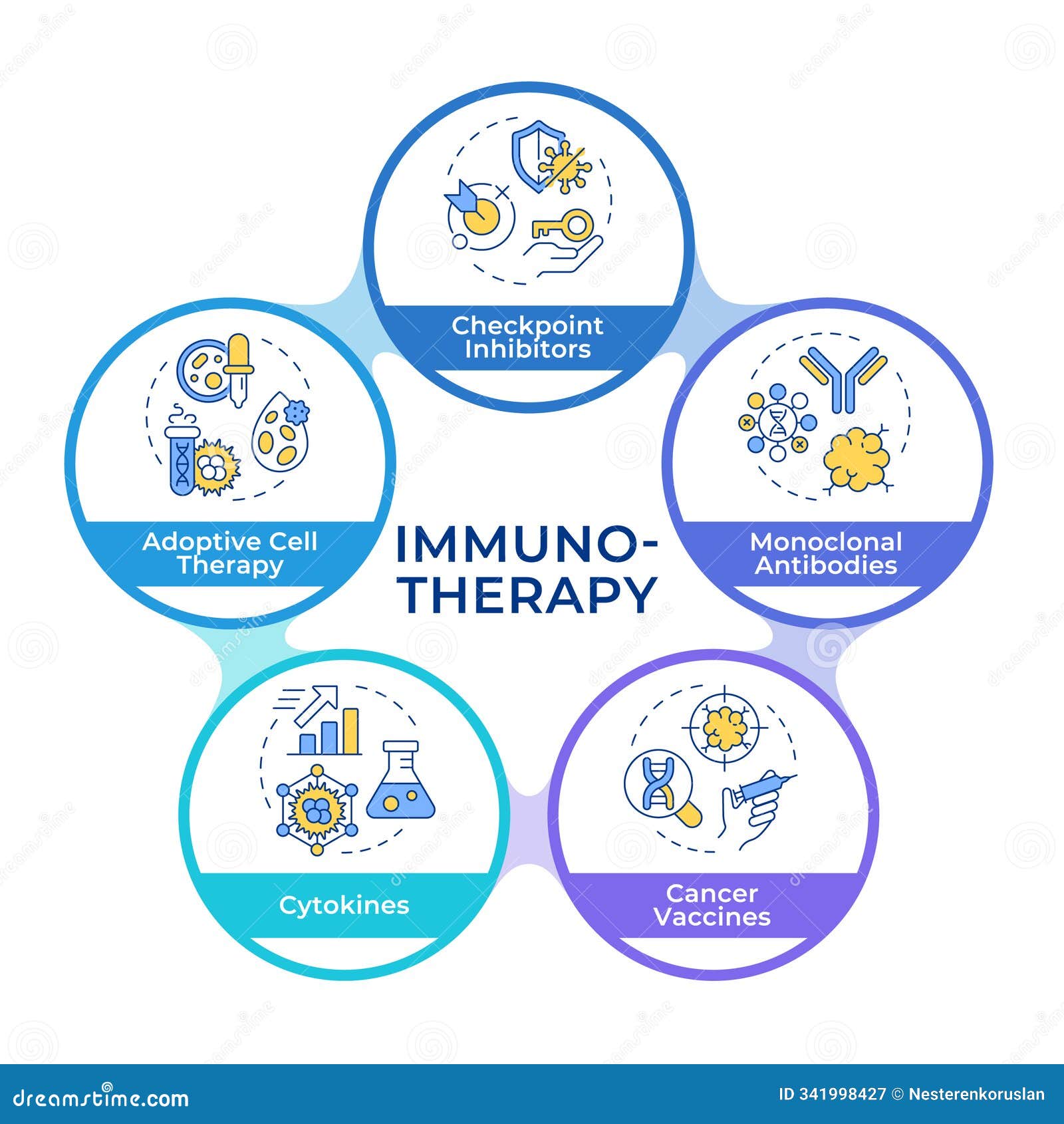 Immunotherapy Types Infographic Circles Flowchart Stock Illustration ...