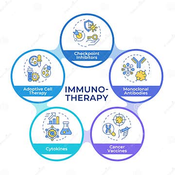 Immunotherapy Types Infographic Circles Flowchart Stock Illustration ...