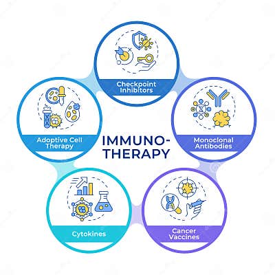 Immunotherapy Types Infographic Circles Flowchart Stock Illustration ...