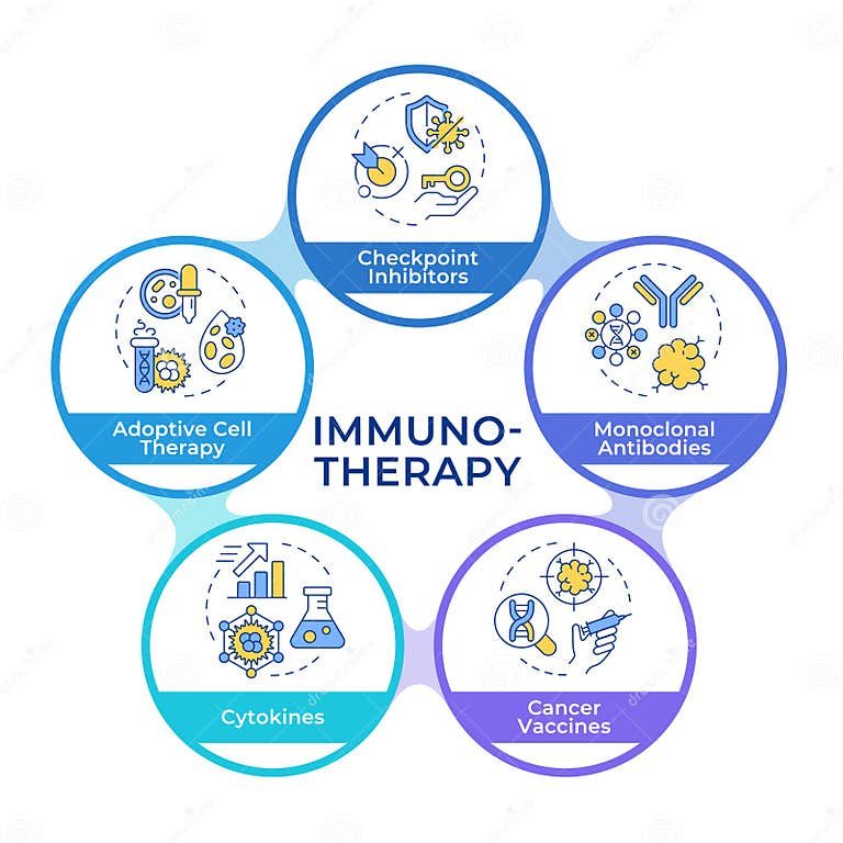 Immunotherapy Types Infographic Circles Flowchart Stock Illustration ...
