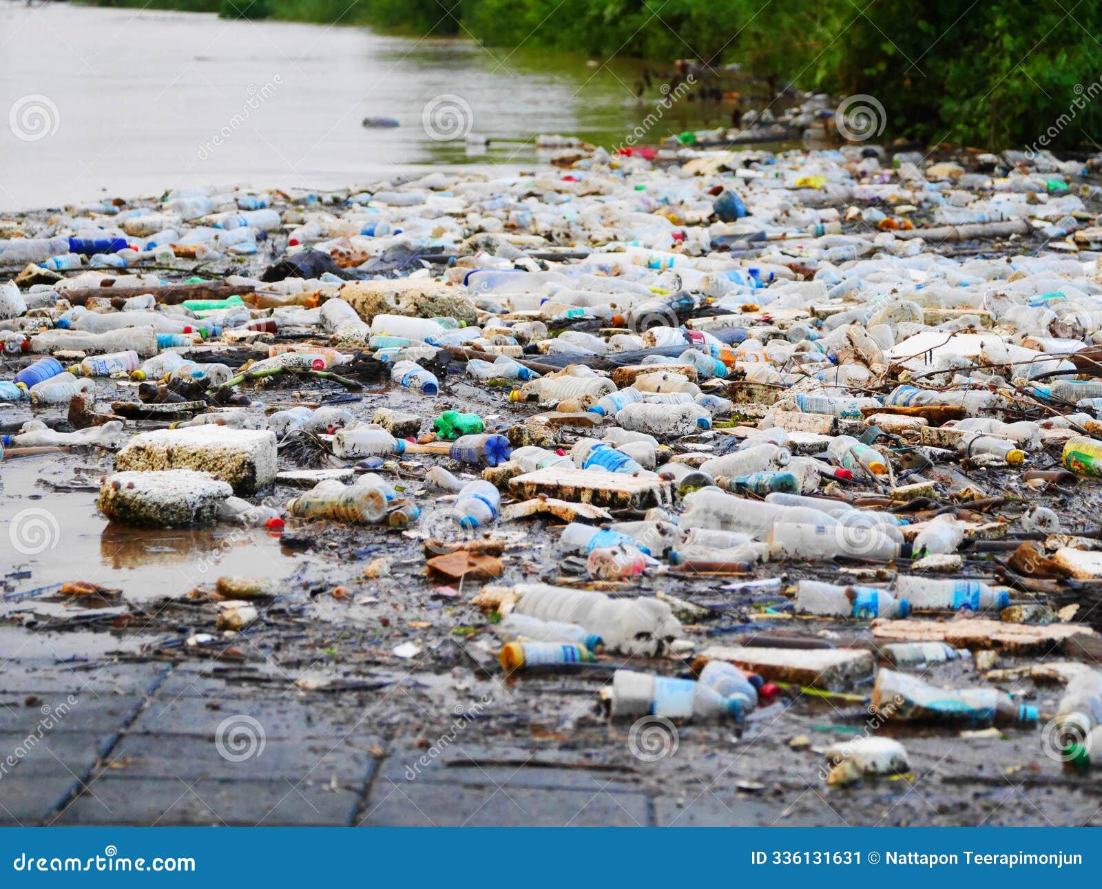 Impactful Image of Plastic Waste Pollution in Nature, Featuring ...