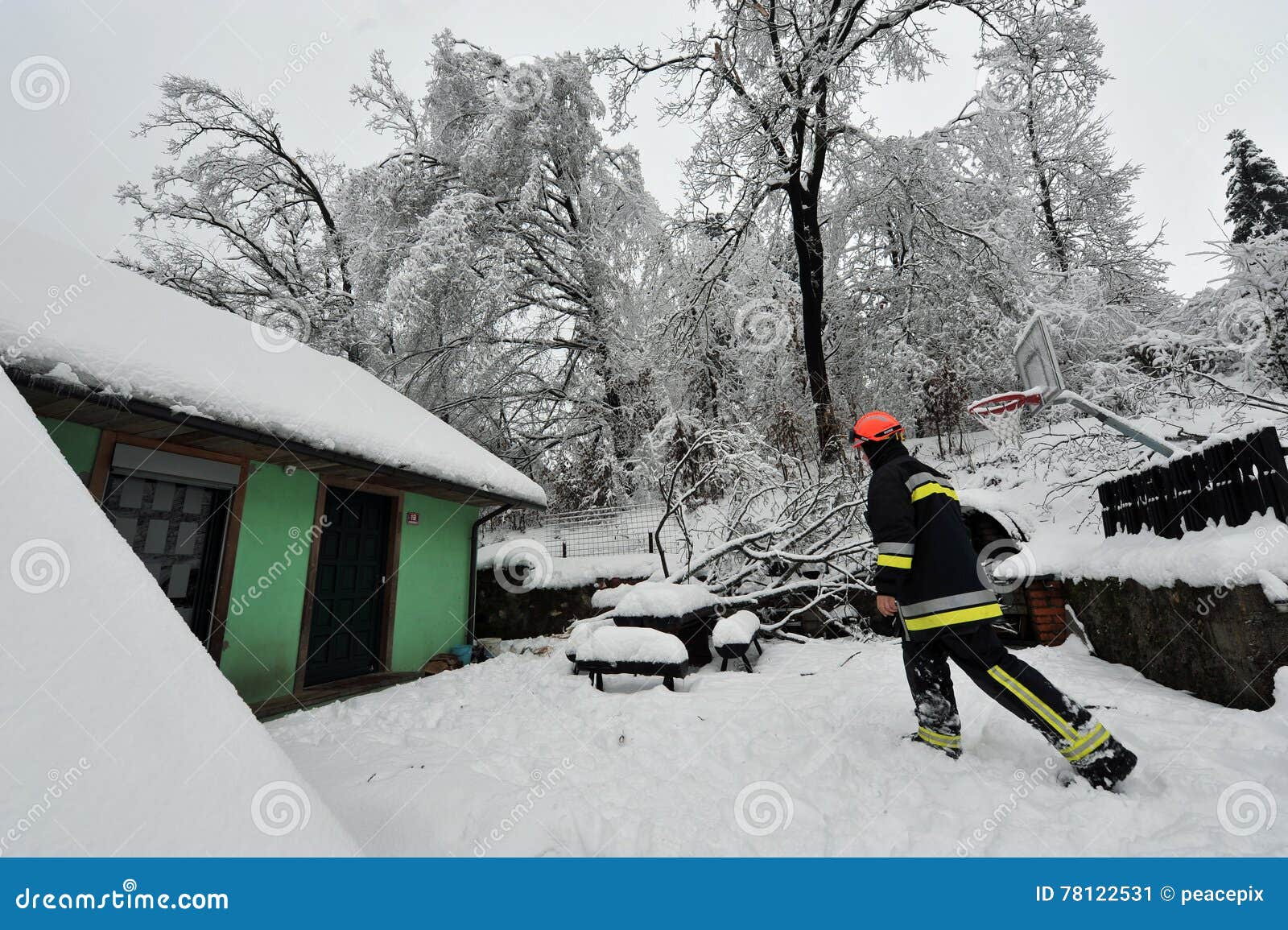 Impacts of heavy snow. stock image. Image of limb, cyclone - 78122531