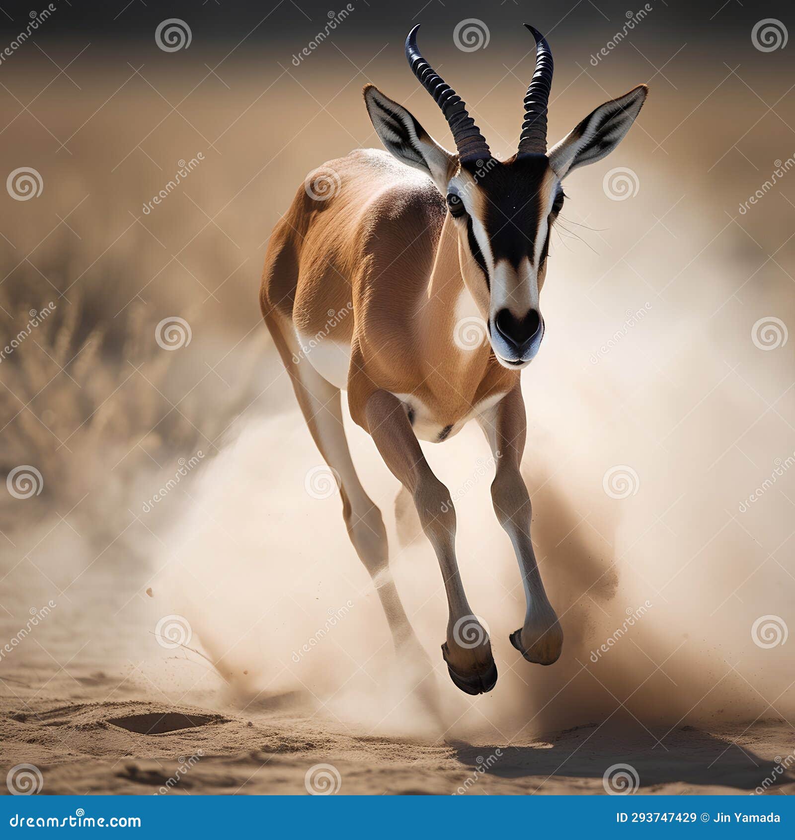 Antelope Running Wildlife Nature Story Book Illustration ...