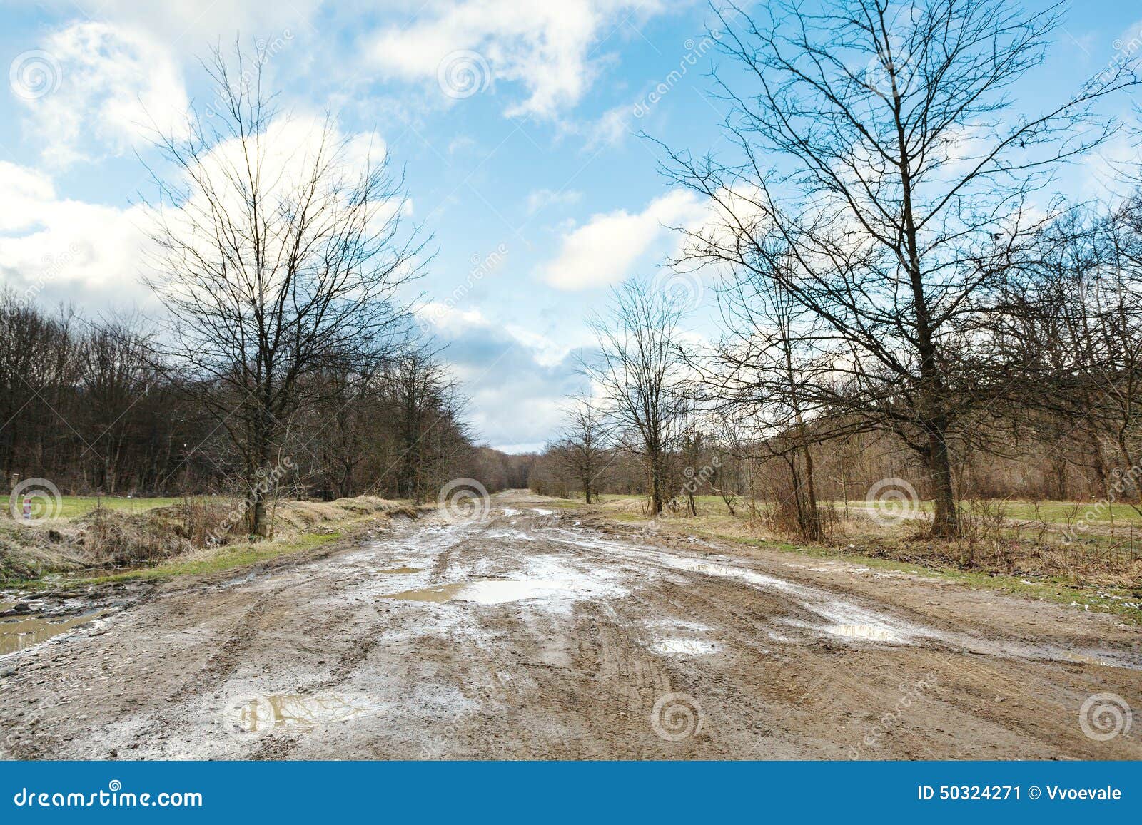Impassable Country Road in Early Spring Stock Image - Image of march ...