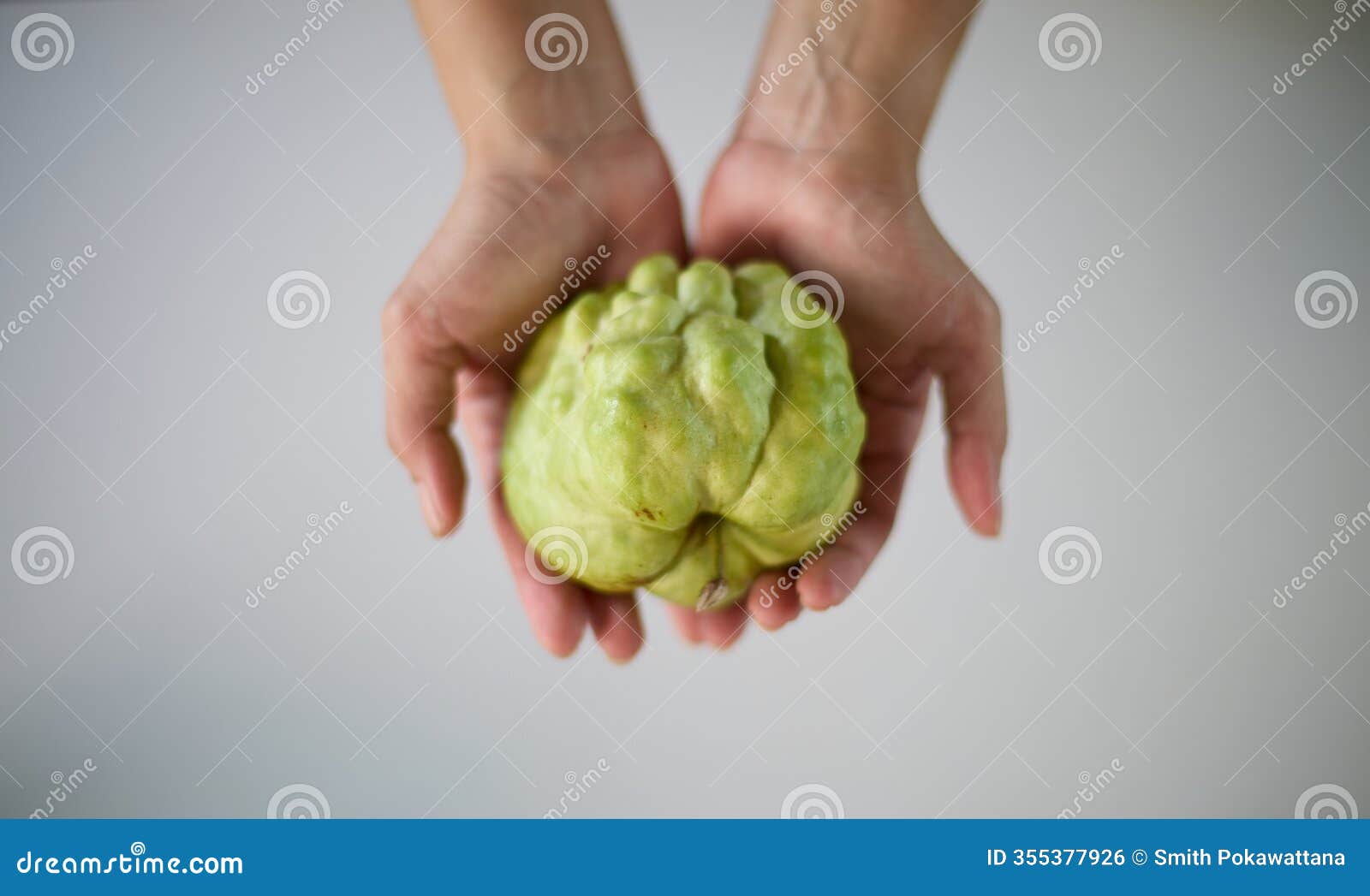 Imperfect Guava in Hand on White Background Stock Photo - Image of ...