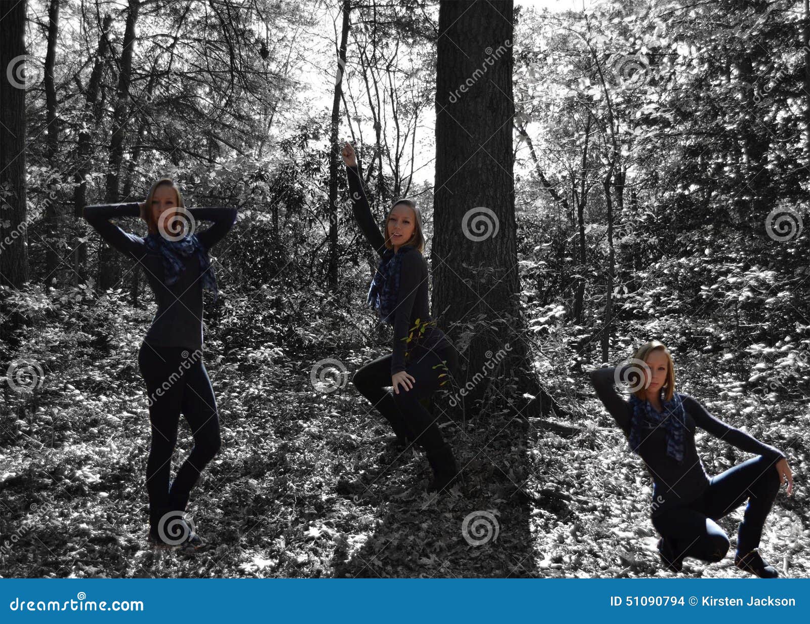 Impertinent image stock éditorial. Image du arbres, bois - 51090794