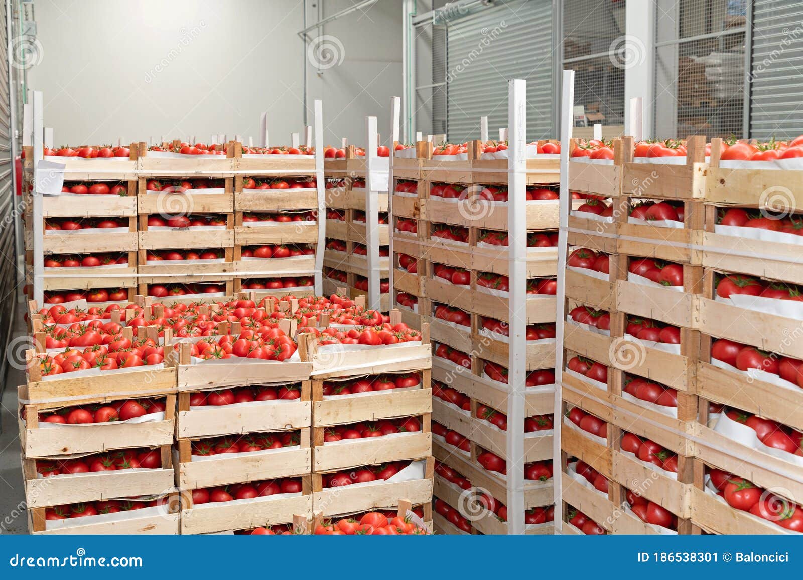 Import Tomato stock image. Image of produce, wholesale - 186538301