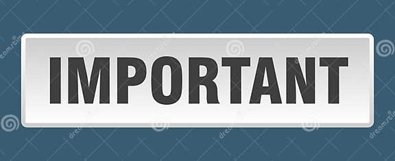 Important Button. Important Square Isolated Push Button Stock Vector ...