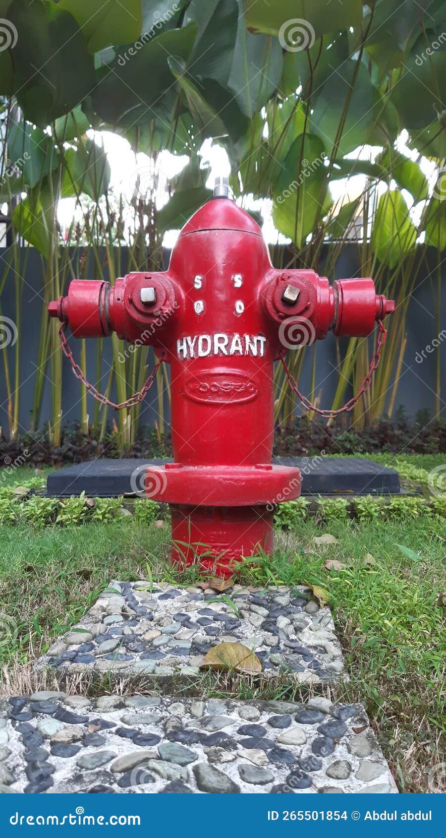Hydrant stock photo. Image of hydrant, secure, prevention - 265501854