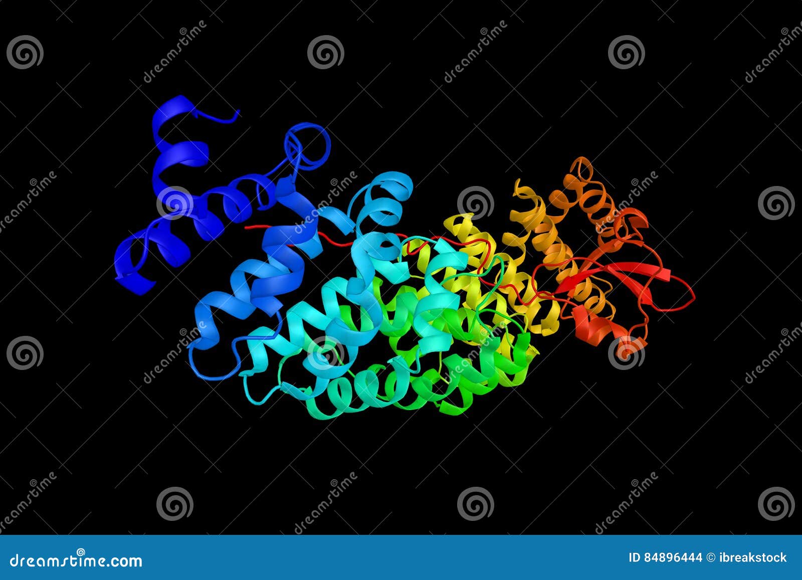Importin Subunit Alpha-7, a Protein Which Binds the NLS-containing ...