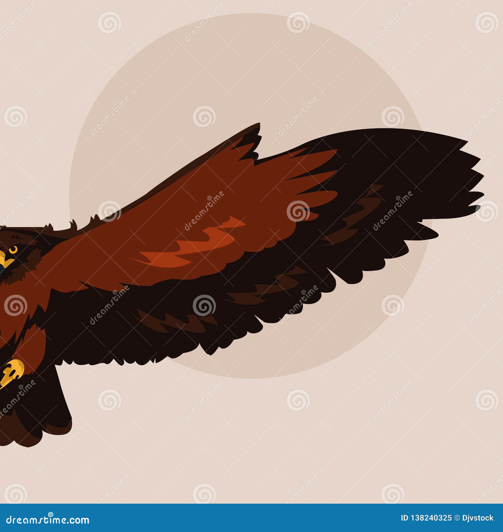 Imposing hawk bird flying stock vector. Illustration of falcon - 138240325