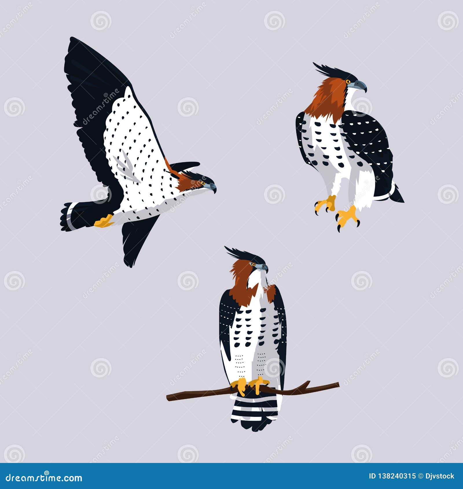 Hawks Birds Silhouettes With Different Poses Vector Illustration ...
