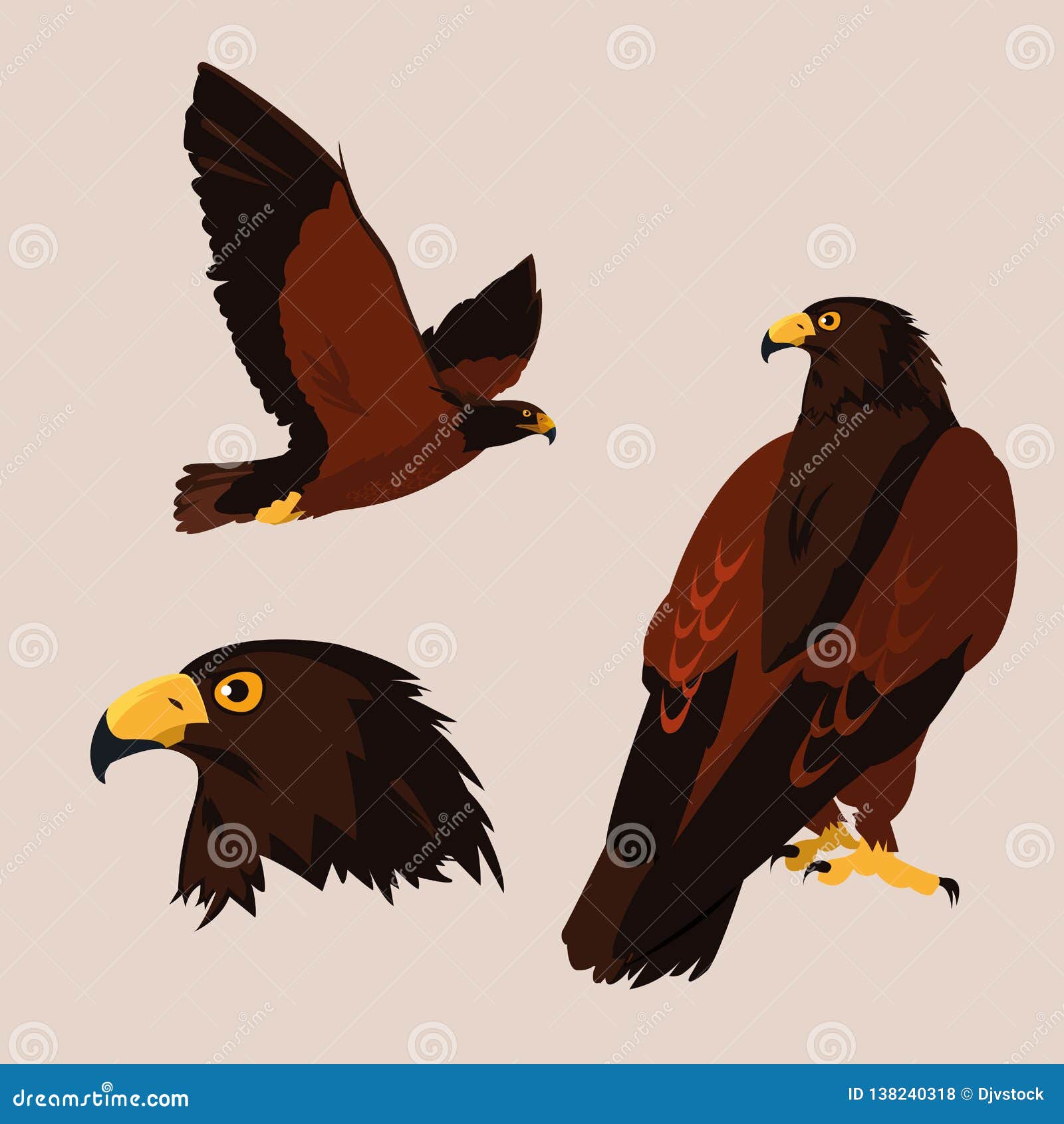 Wild Hawks Sitting Silhouette Set On A White Background. Carnivore Wild ...