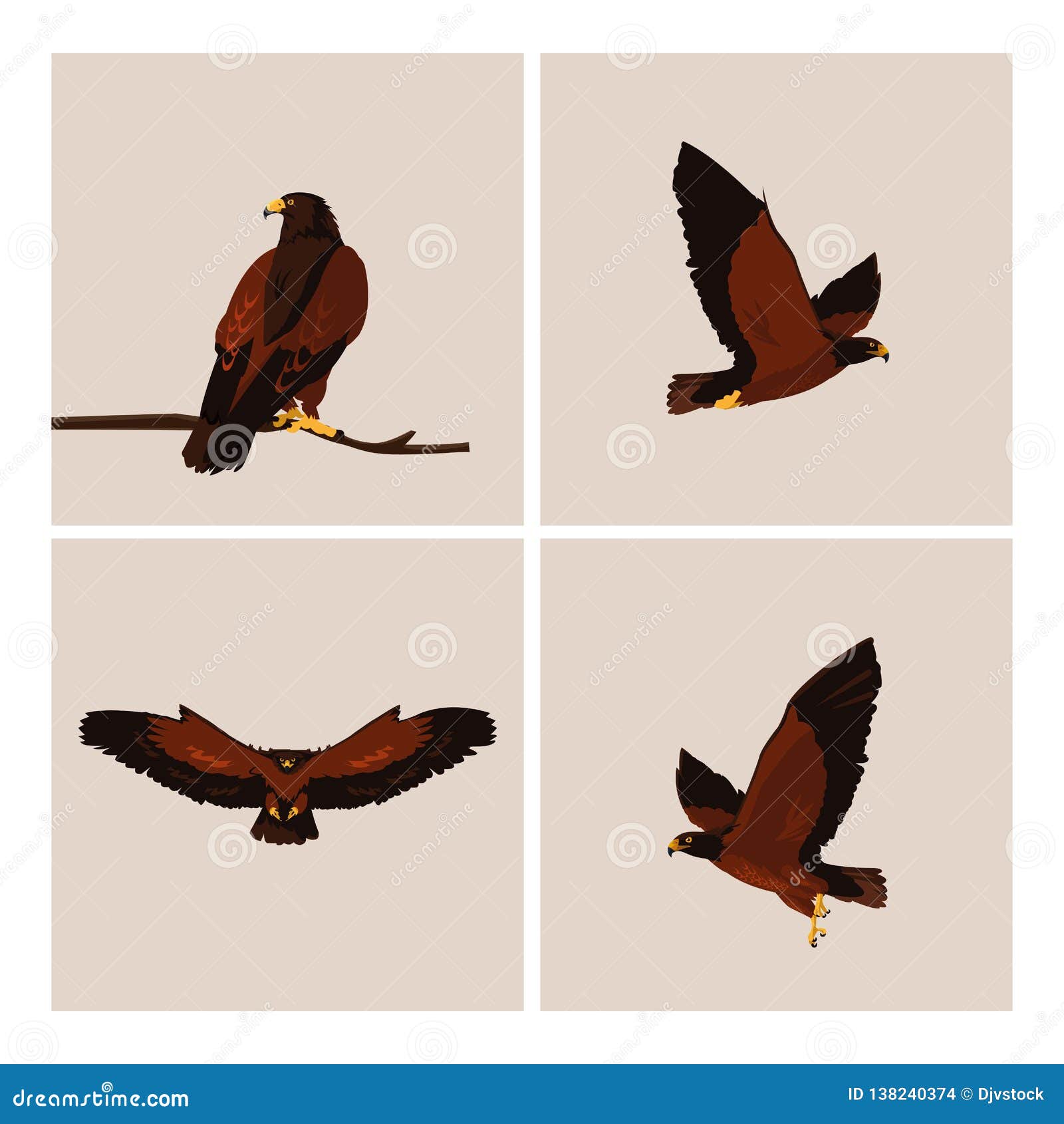 Hawks Birds Silhouettes With Different Poses Vector Illustration ...