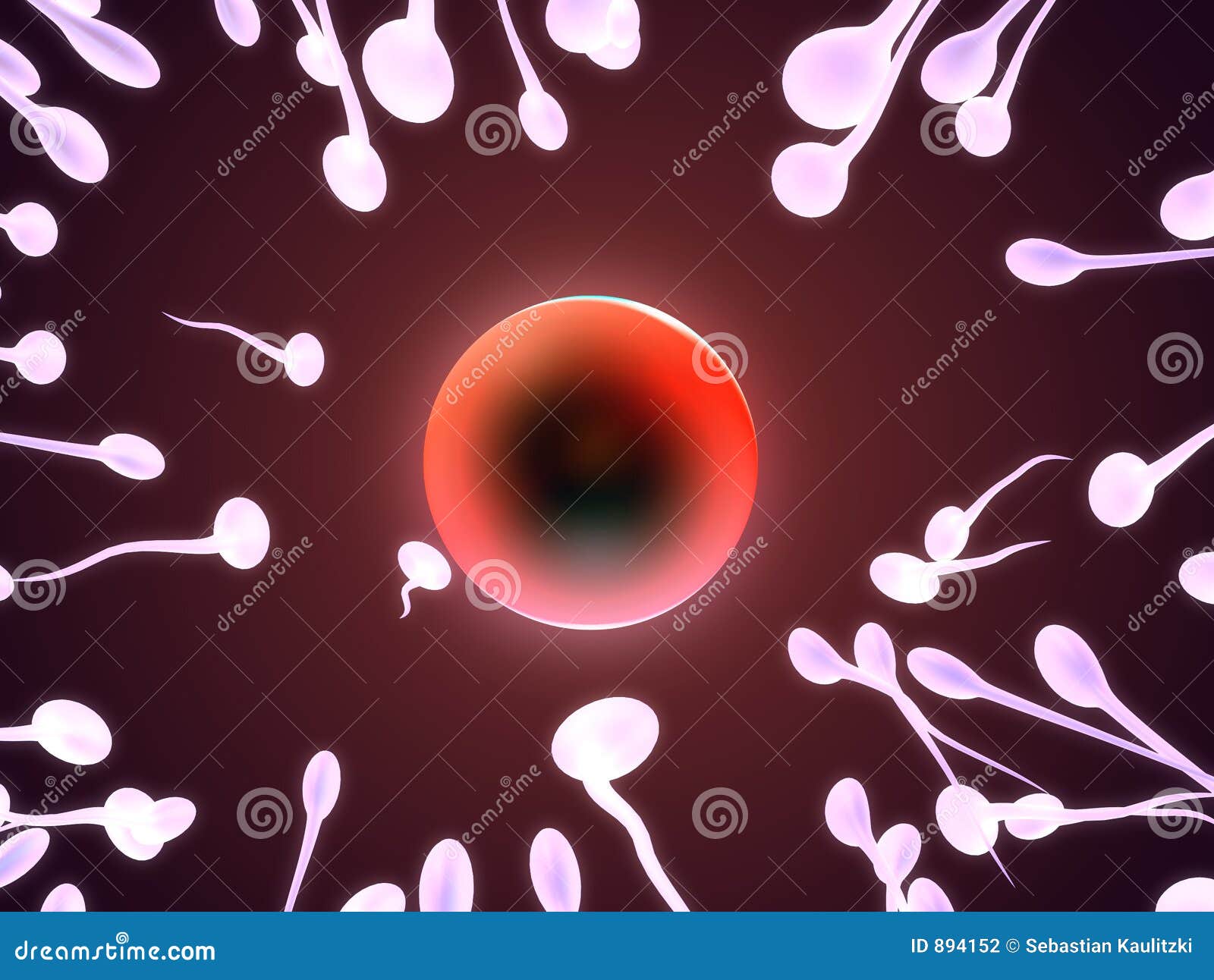 Impregnation stock illustration. Illustration of fibroblast - 894152