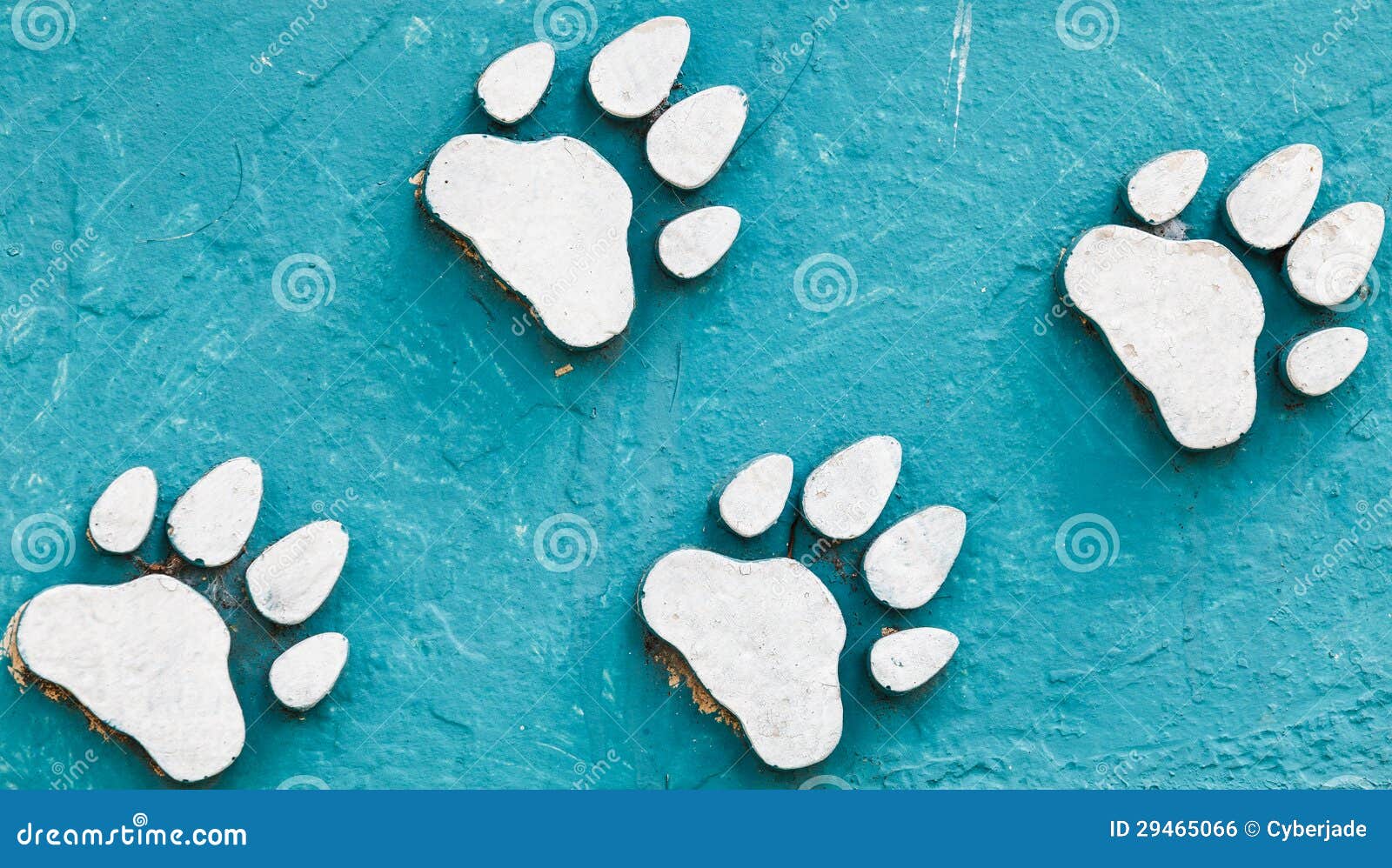 Impresión del pie animal foto de archivo. Imagen de caminata - 29465066