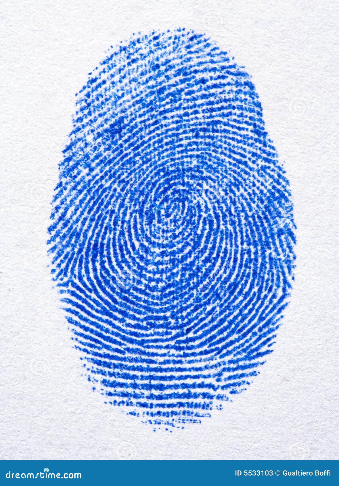 Impressão digital azul imagem de stock. Imagem de oficial - 5533103