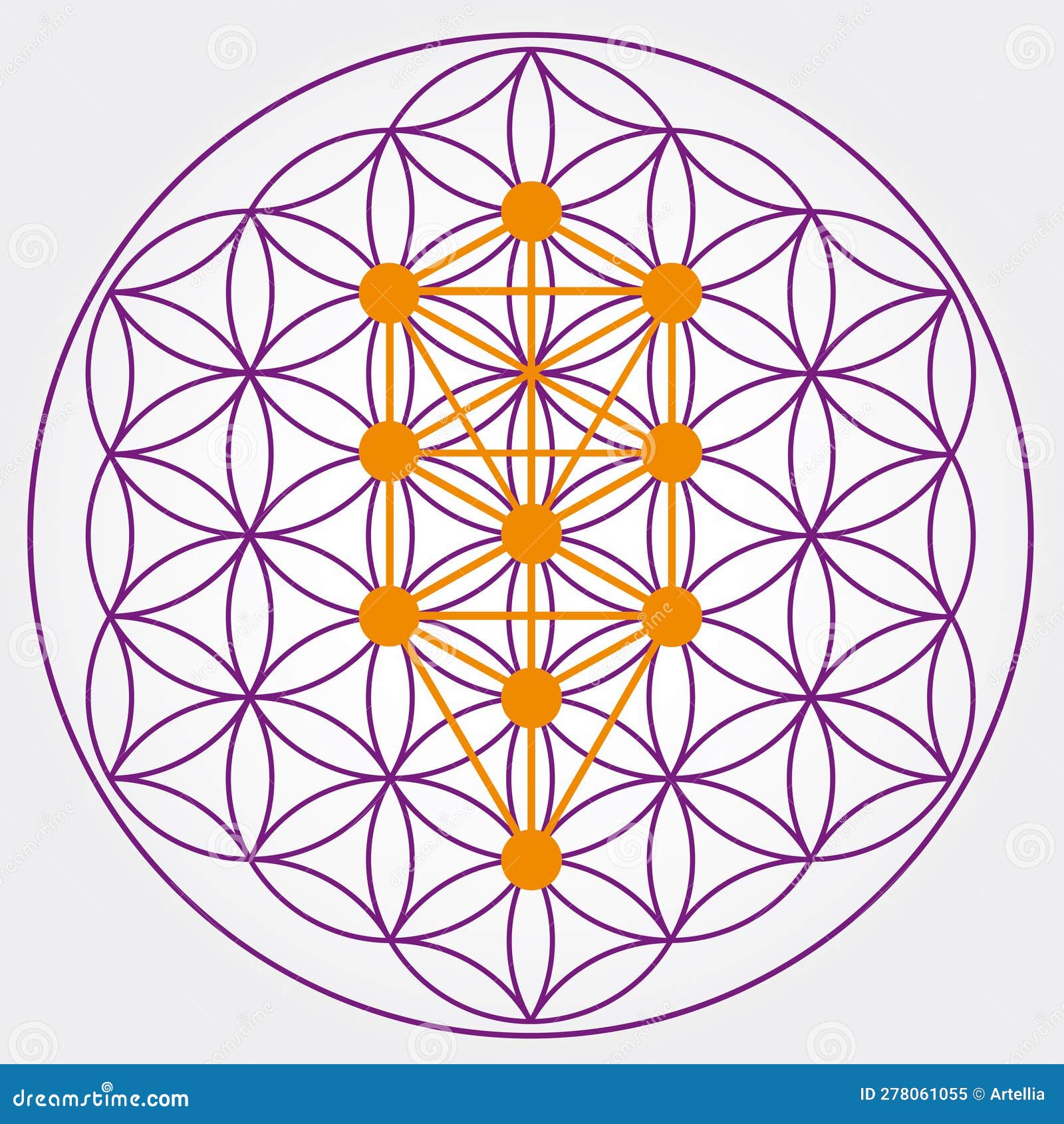 Flower of Life Symbol in Violet and Orange Colors, Cosmic Universe ...