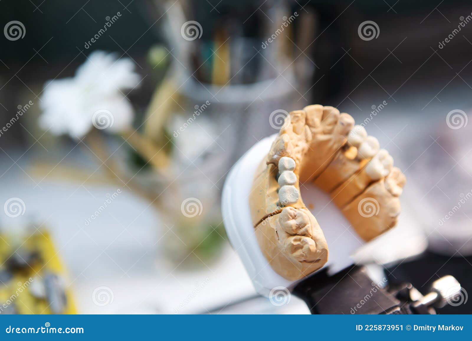 Impression of a Human Jaw with Teeth. Modeling and Shaping the ...