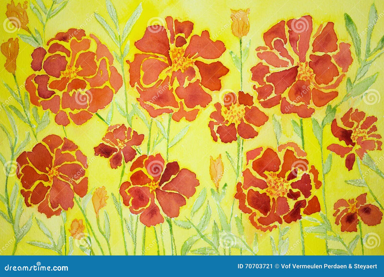 Impression of Marigold on a Yellow Background. Stock Illustration ...
