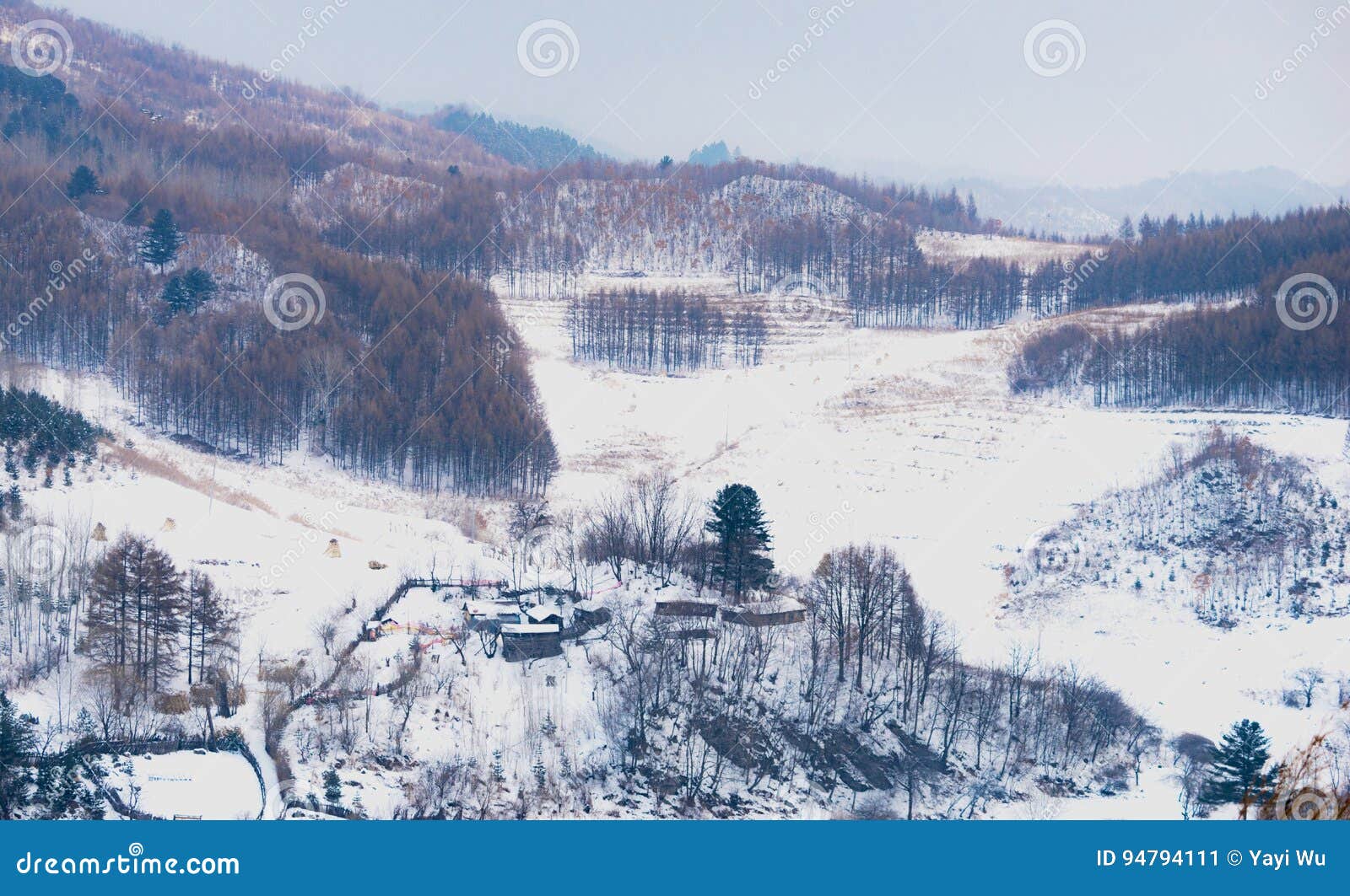 The impression of winter stock image. Image of fields - 94794111