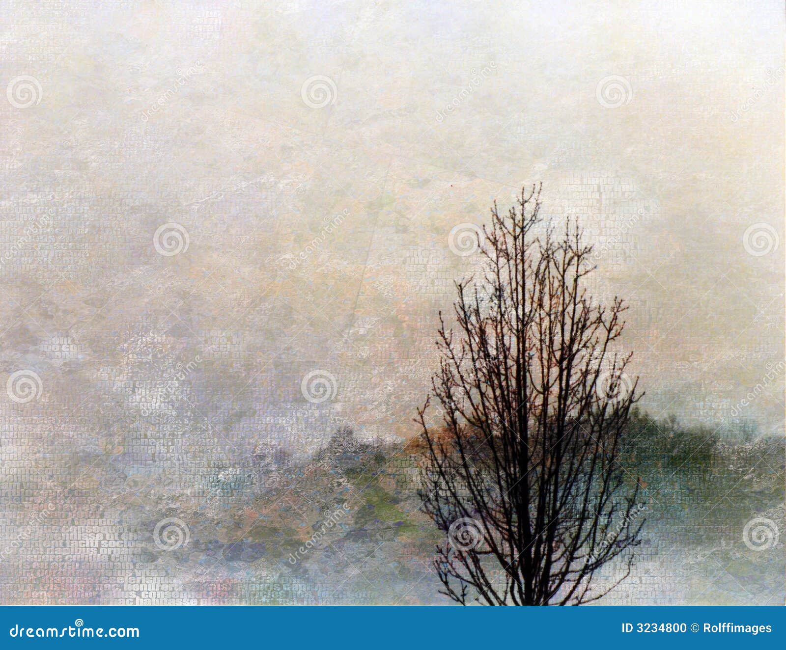 Impressionist Tree Stock Photography | CartoonDealer.com #3234800
