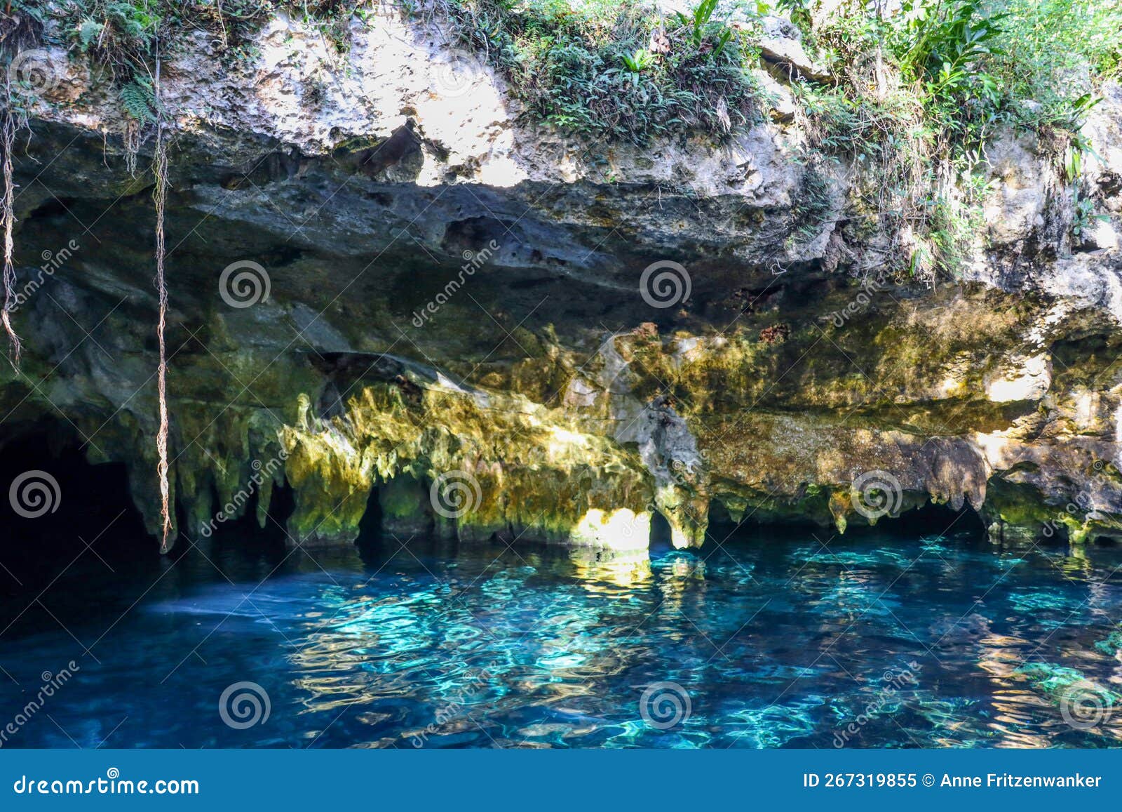 Impressions of Yucatan in Mexico Stock Image - Image of landscape ...