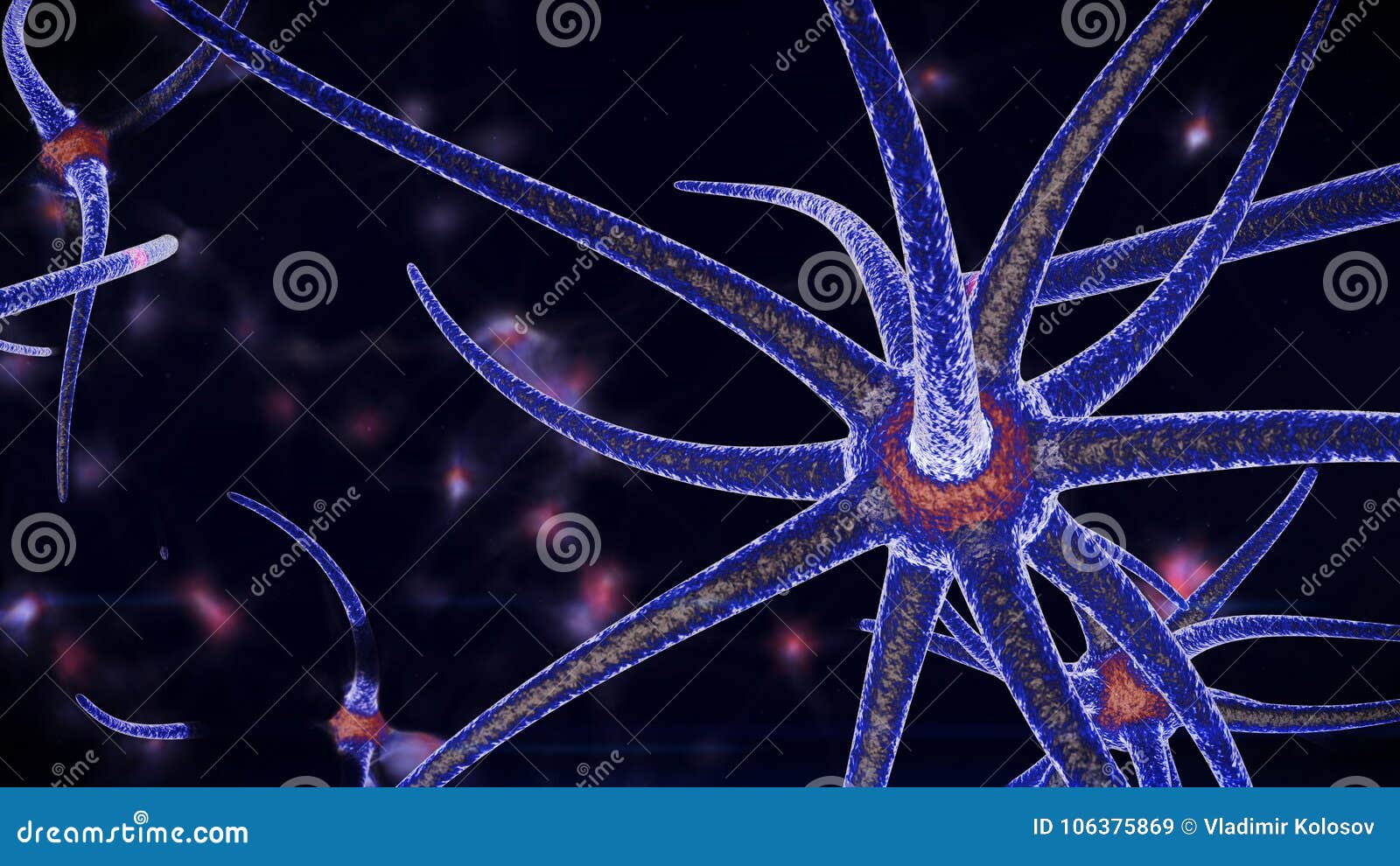 Octopus Looking Blue Neurons Stock Illustration - Illustration of ...