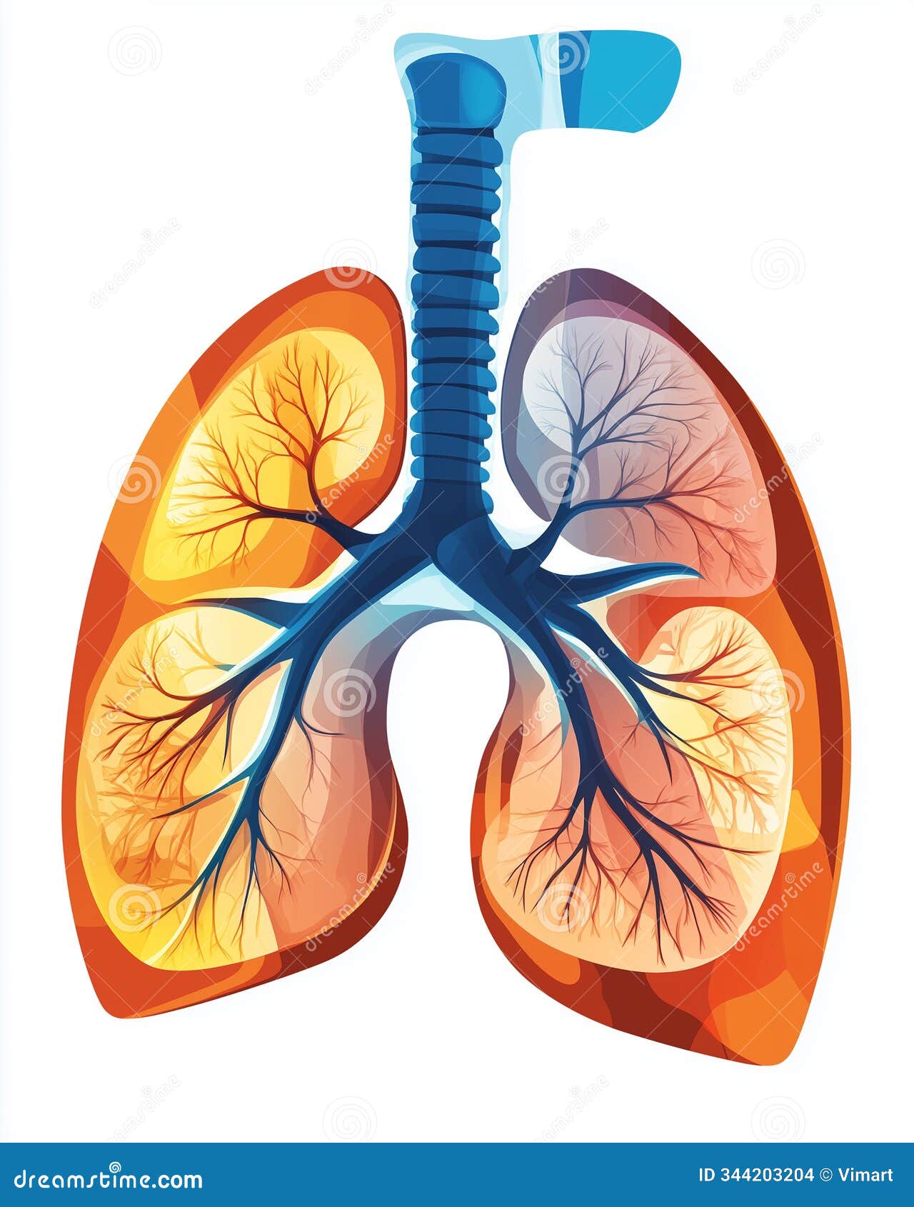 An Impressive 3D Representation of the Human Lungs, Illustrating the ...