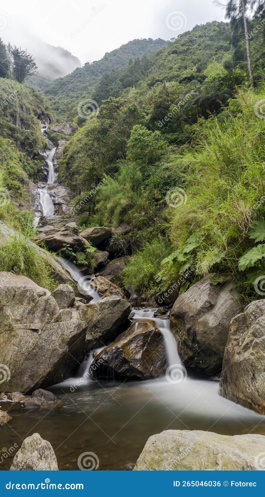 Impressive Long Exposure Image of River in Ecuador Stock Photo - Image ...
