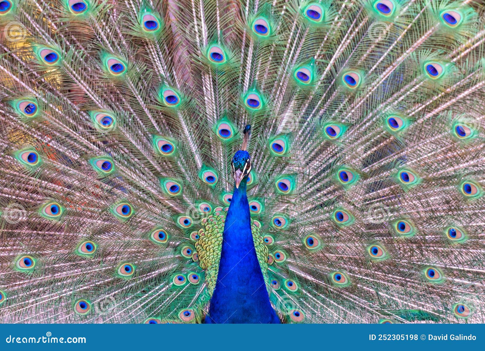 Wow, It Was Impressive. Portrait Of Shocked And Surprised Cute European ...