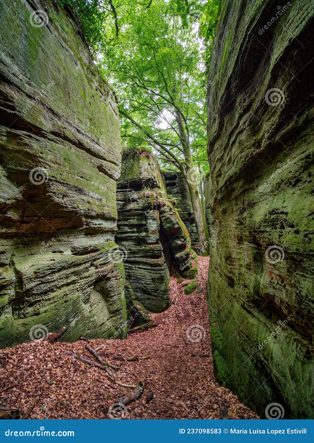 Impressive Rock Formations in Berdorf Forest Stock Image - Image of ...