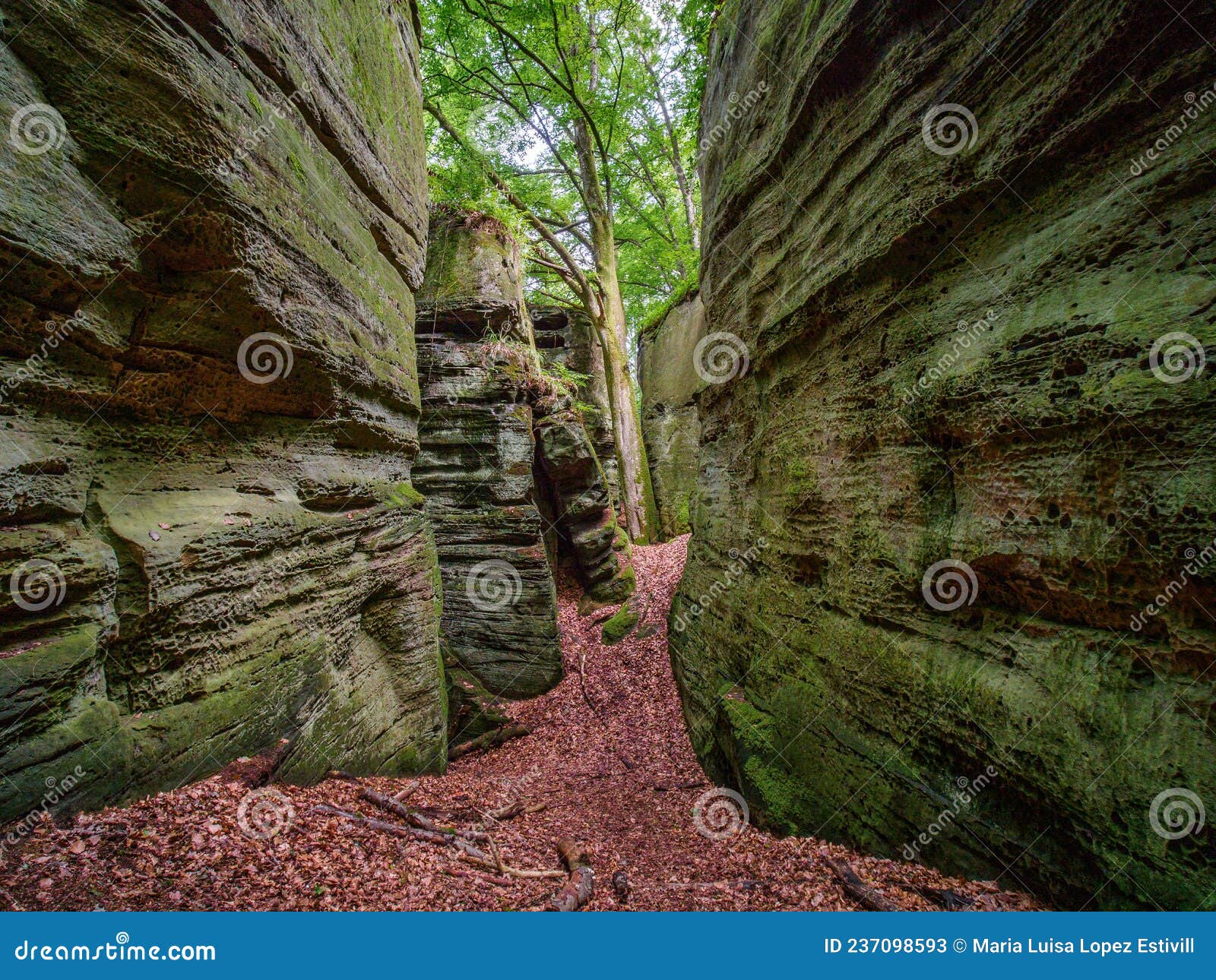 Impressive Rock Formations in Berdorf Forest Stock Image - Image of ...