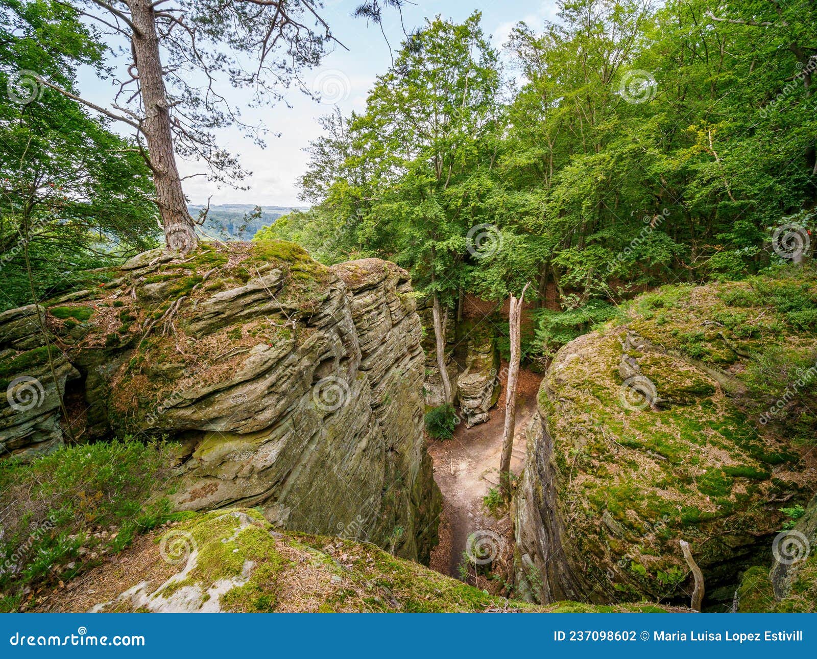Impressive Rock Formations in Berdorf Forest Stock Photo - Image of ...