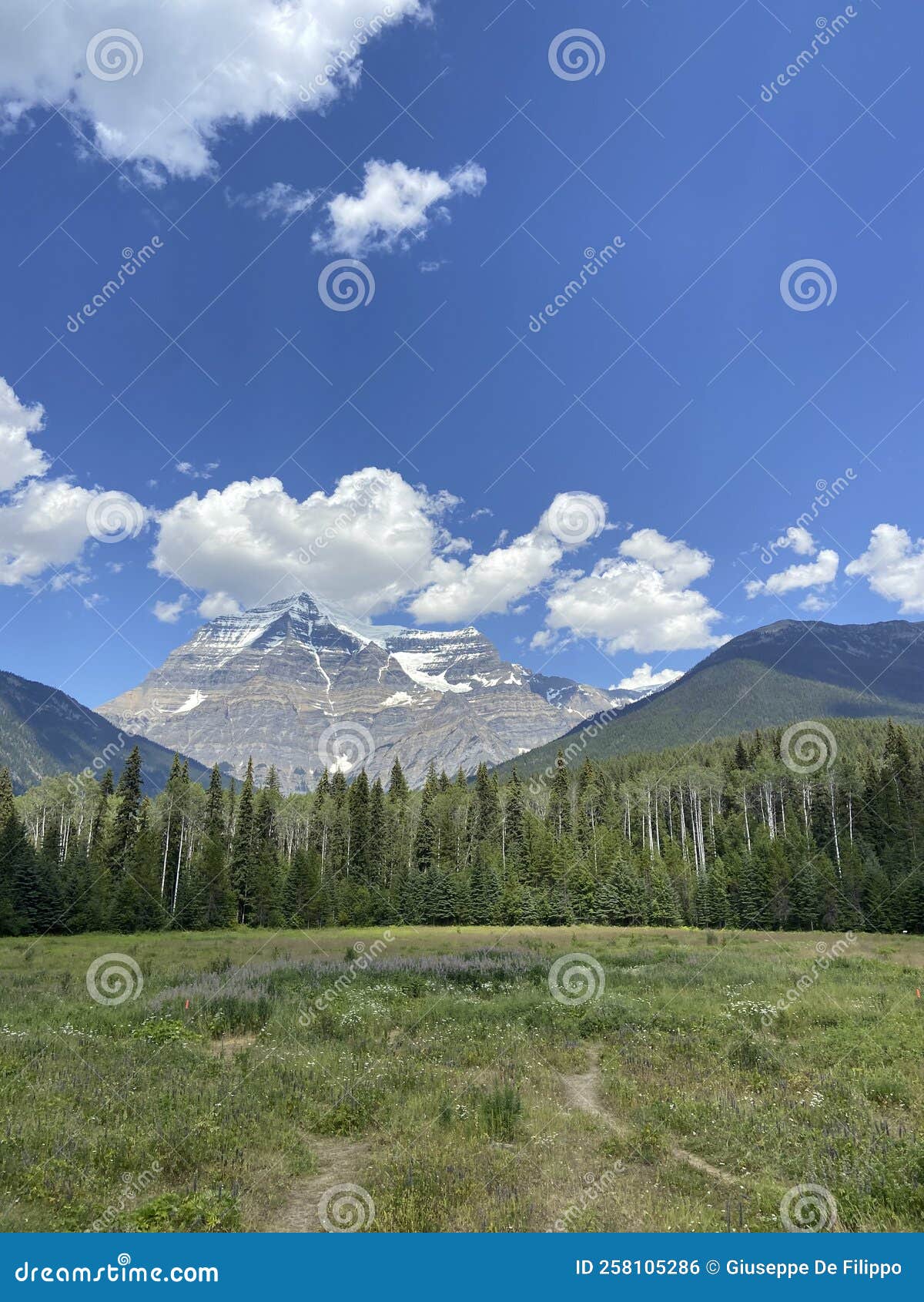 Impressive View of Mount Robson in the Canadian Rockies in Summer Stock ...