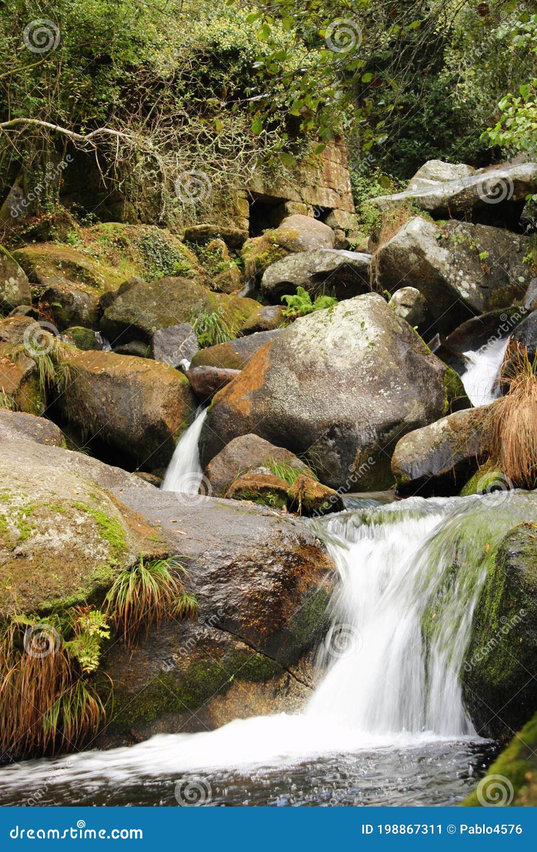 Beautiful Waterfall Inside a Galician Forest Stock Image - Image of ...