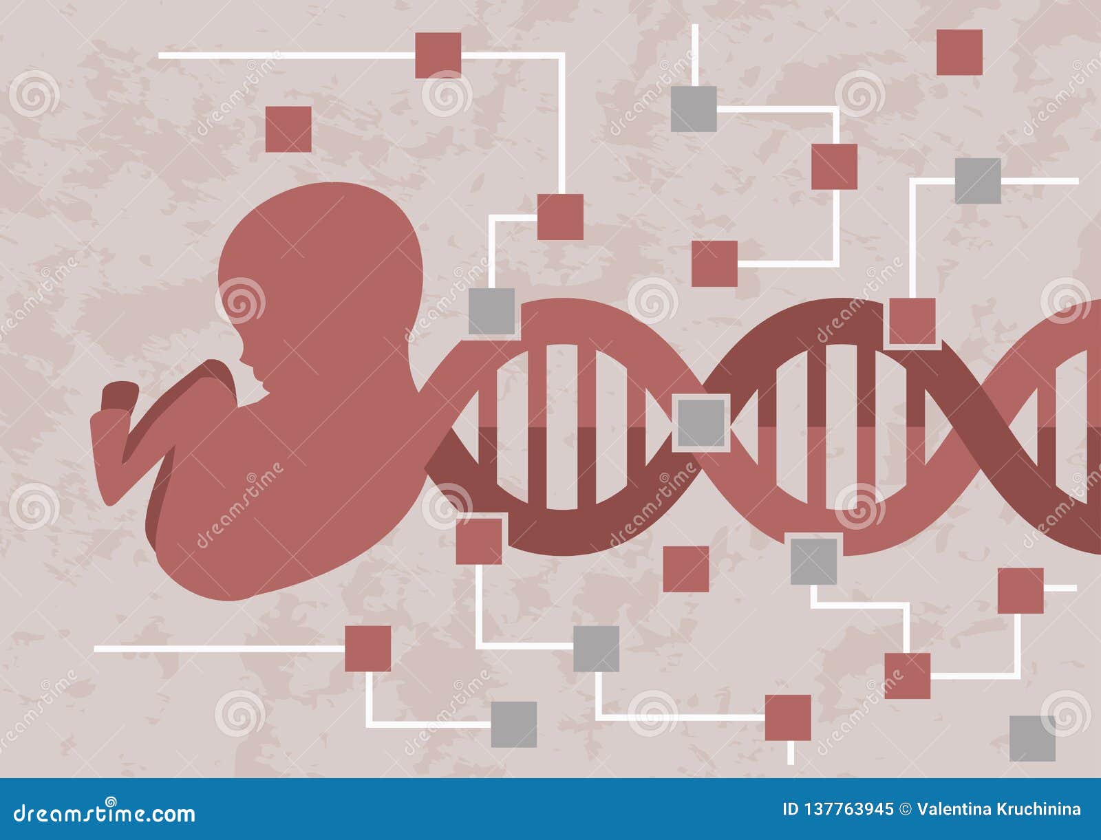 Hacking Baby Embryo. Decoding the DNA of Embryo for Checking of the ...