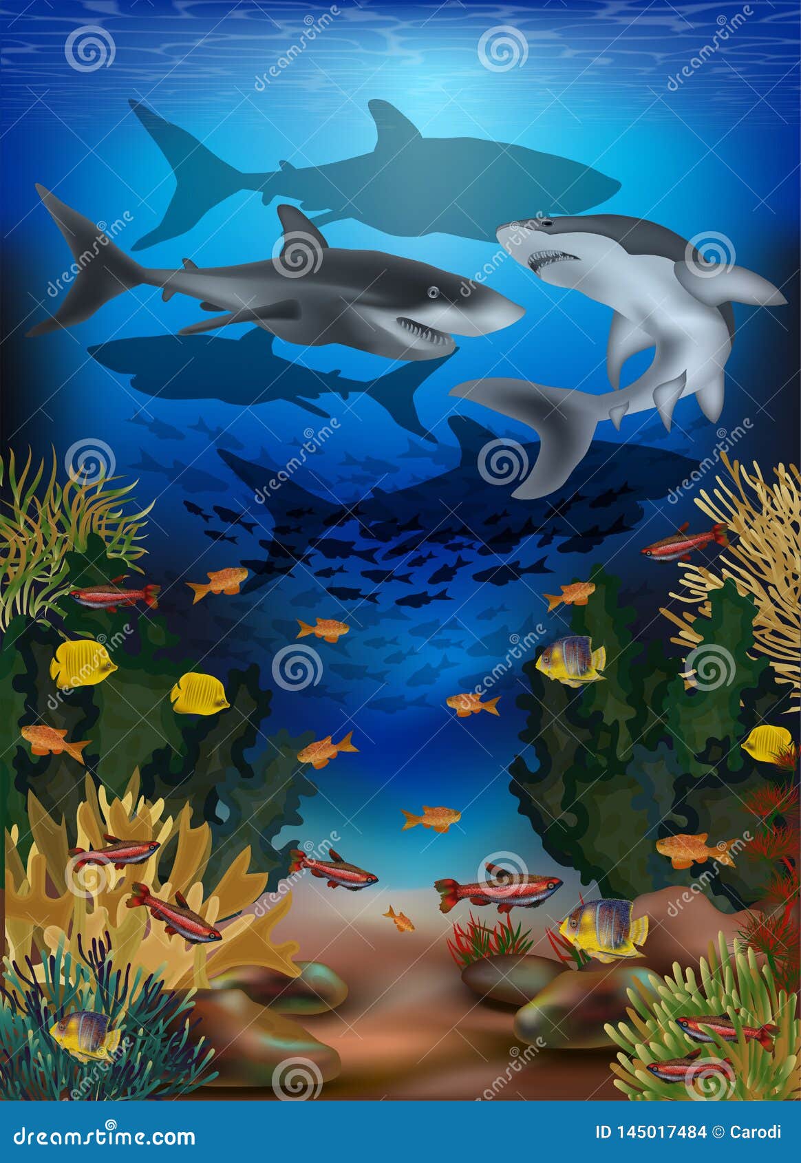 Underwater Banner with Tropical Fish and Sharks Stock Vector ...