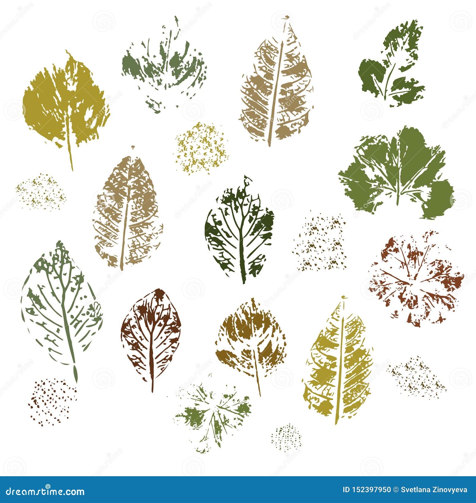 Imprint of Different Leaves on a White Background.Vector. Stock Vector ...