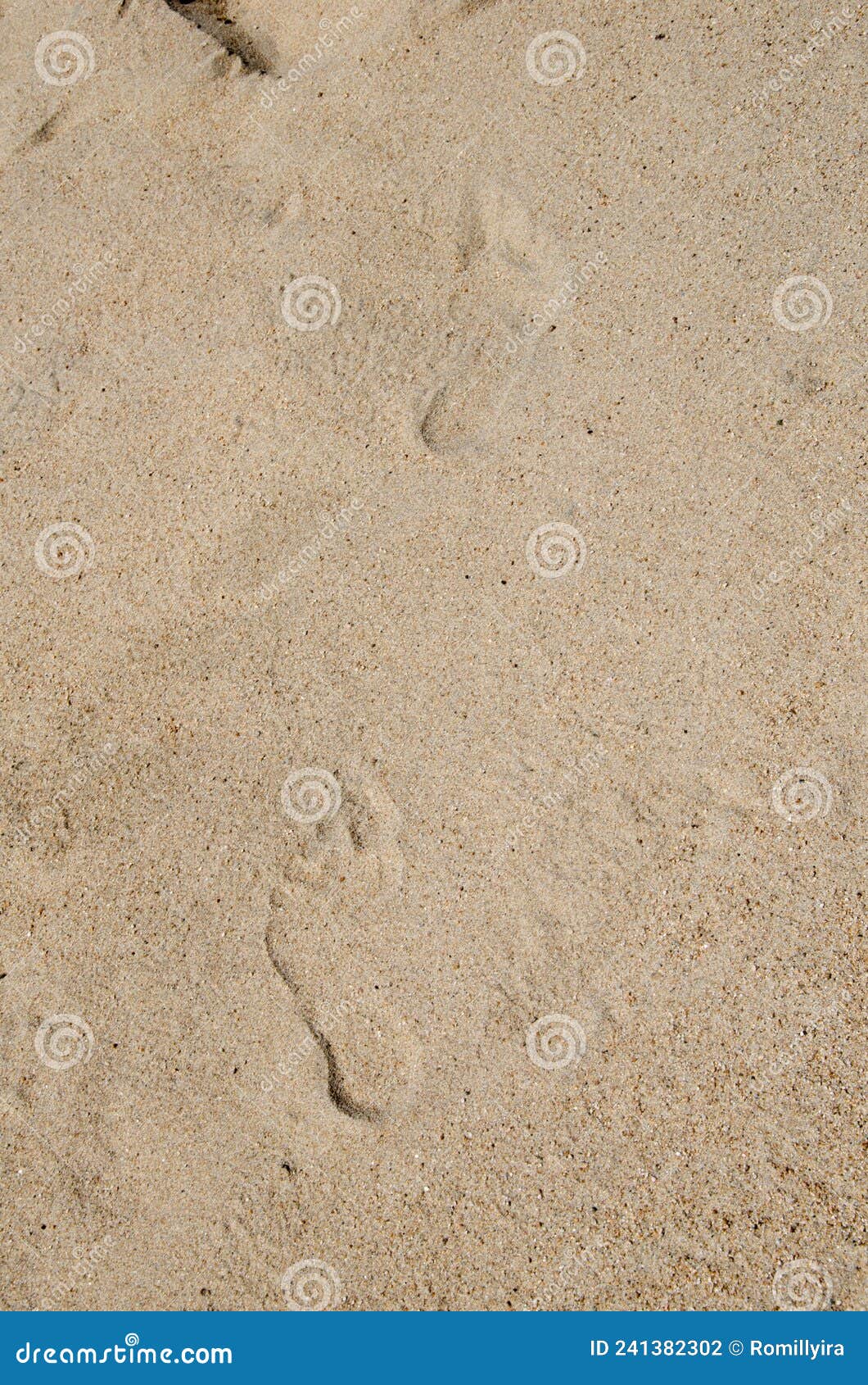Footprints of Human Feet in the Sand. Stock Photo - Image of ocean ...