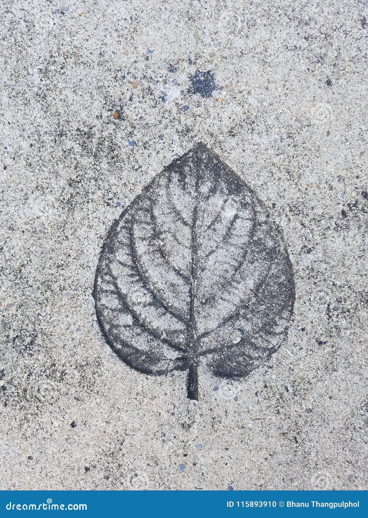 Imprint leaf on cement stock photo. Image of arts, mold - 115893910