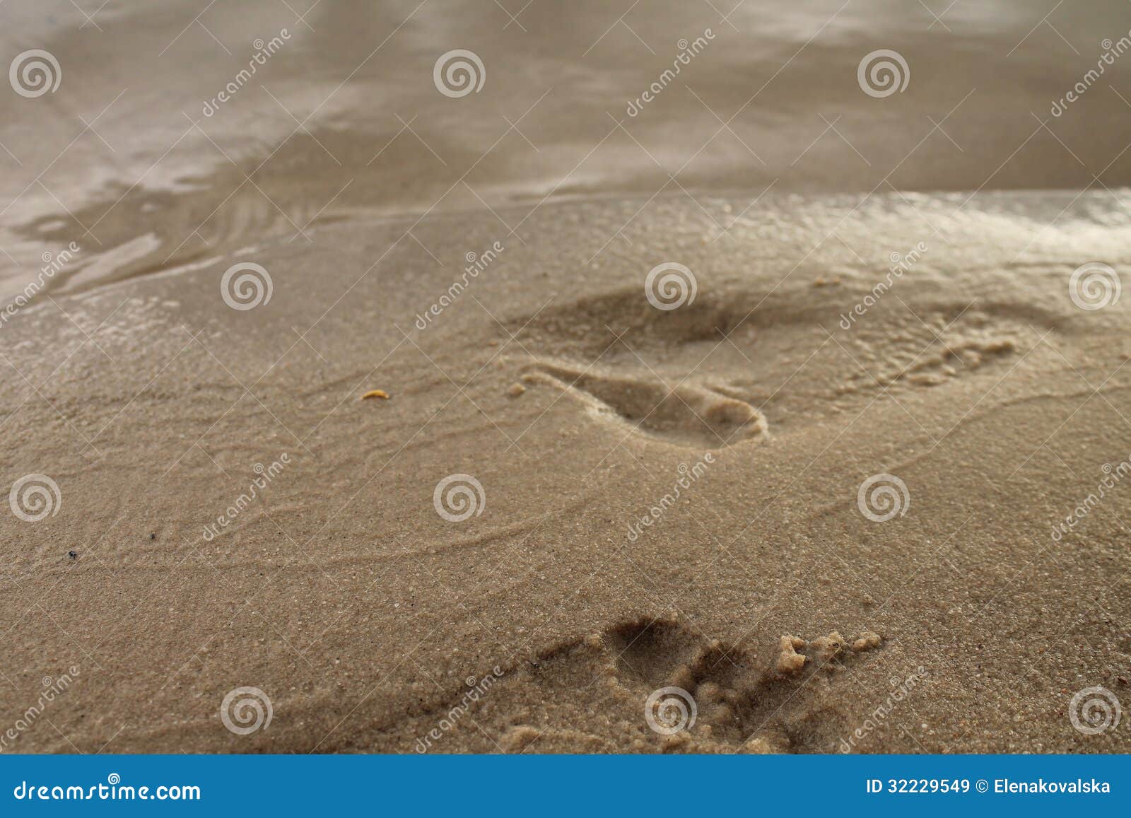 Imprint in the sand stock image. Image of summer, sand - 32229549