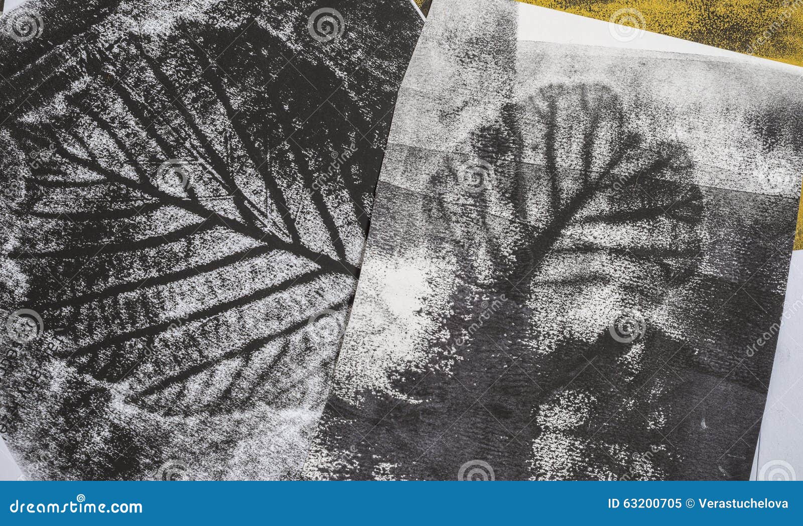 Imprints Of Leaves Royalty-Free Stock Photo | CartoonDealer.com #63200565