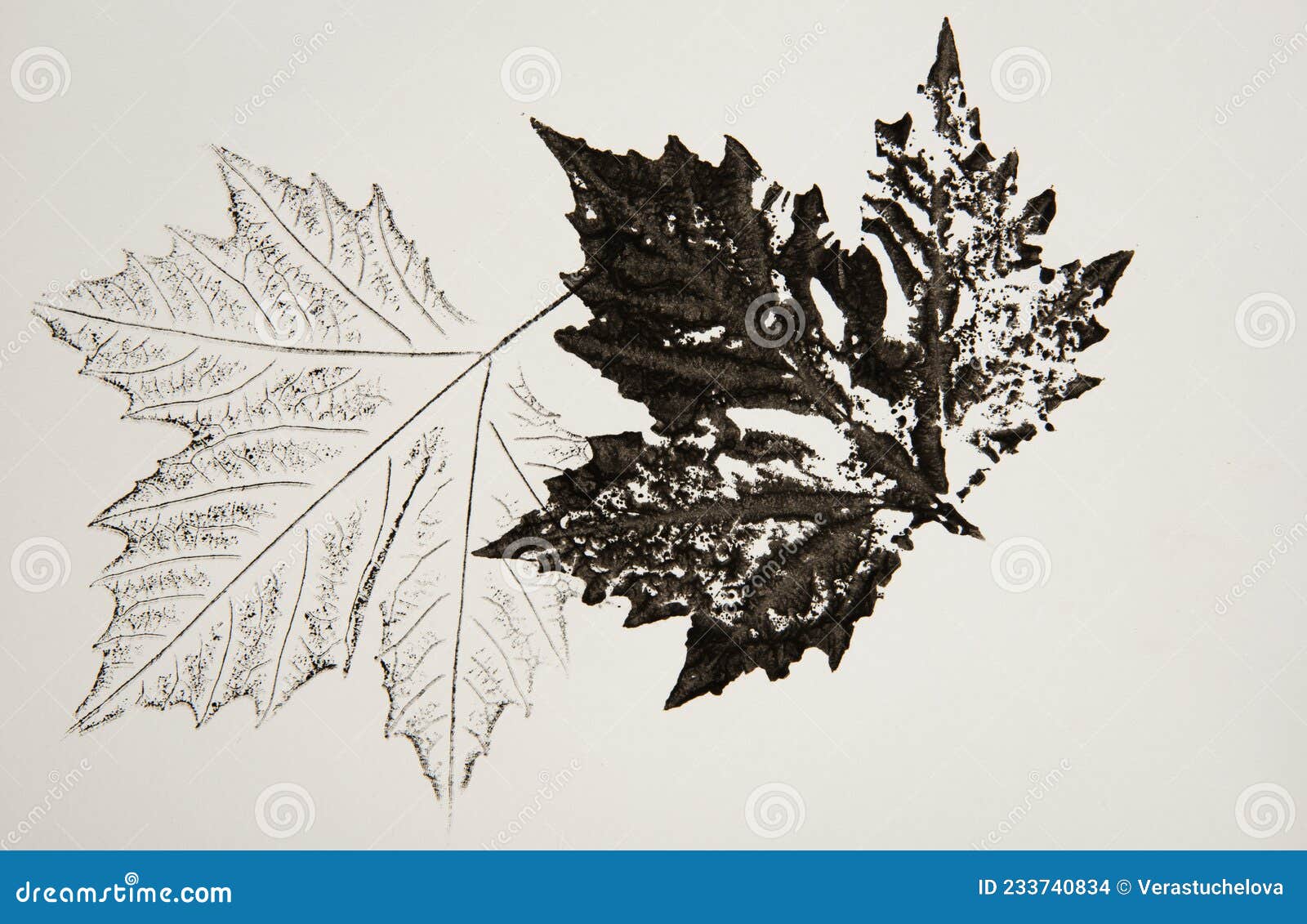 Imprints of Leaves on a Paper Stock Photo - Image of black, environment ...
