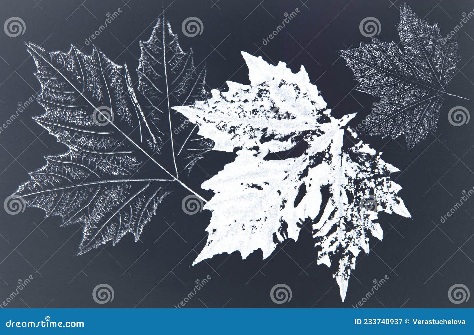 Imprints of Leaves on a Paper Stock Image - Image of bright, closeup ...
